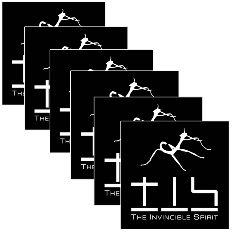INVINCIBLE SPIRIT MEDIA • 6 x Sticker/Aufkleber - The Invincible Spirit